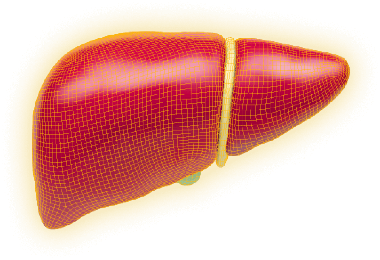 Activated Ginkgo | Gingko Biloba | Thomson Health Malaysia